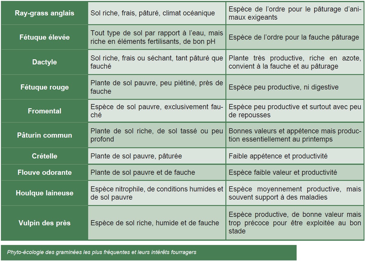 Comment observer sa prairie afin de comprendre la situation et prendre les bonnes décisions ...